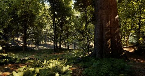 Claudio Polla On Linkedin Level Up With Nvidia