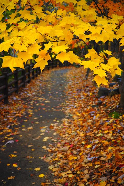 조잔 원천공원 조잔케이 관광협회 공식 홈페이지