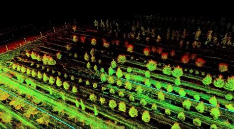 Nursery Robotics Agtech Ai Startup Horticulture Moss