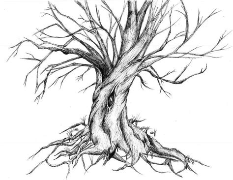 Twisted Tree Drawing At PaintingValley Com Explore Collection Of Twisted Tree Drawing