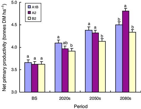 Net Primary Productivity