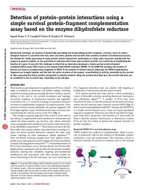 Pdf Detection Of Proteinprotein Interactions Using A Simple Survival Protein Fragment