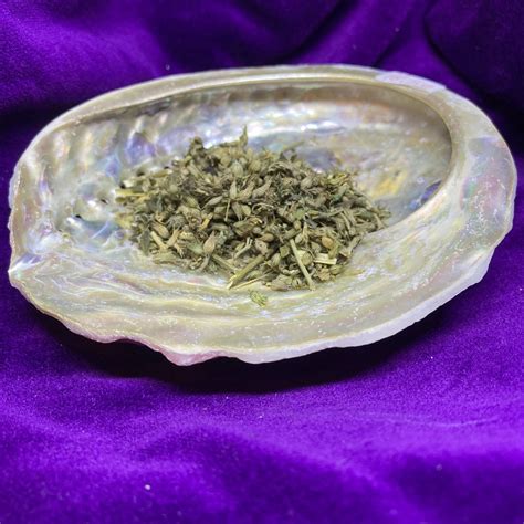 Catnip Cut Into The Mystic Shop