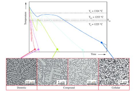 Semi Quantitative Model Of Microstructure Development In The Rapidly