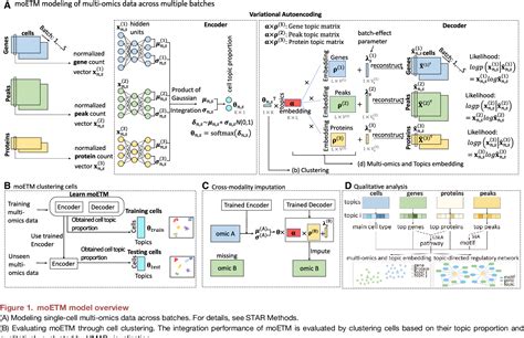 Figure 1 From Single Cell Multi Omics Topic Embedding Reveals Cell Type