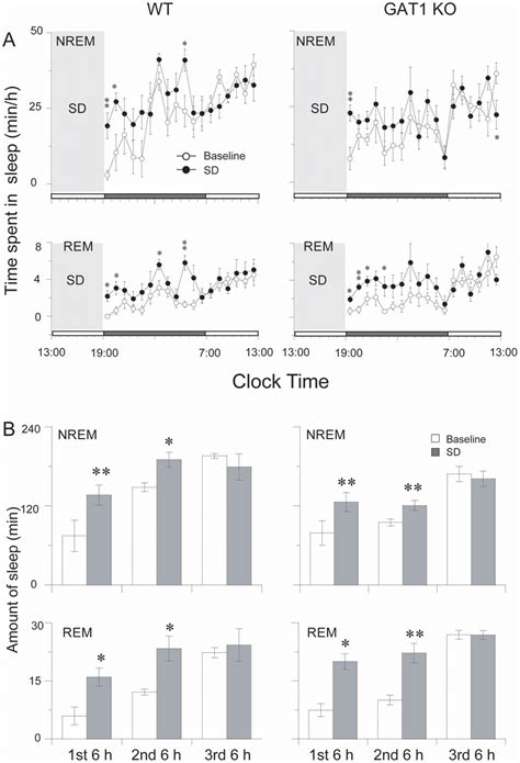 Effects Of Sleep Deprivation Sd On Sleep Wake Profiles A Time