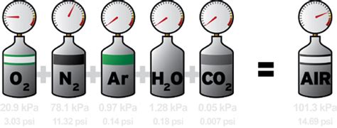 Diferencia entre la presión parcial y la presión de vapor Diffexpert
