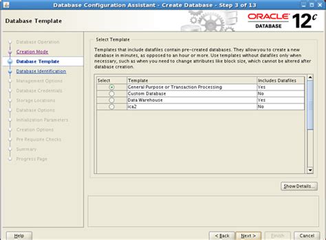 Creating Oracle 12c Container Database Example Page 2