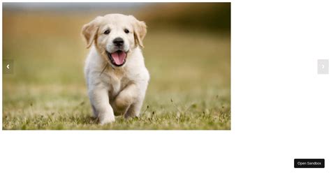 React Responsive Carousel Forked Codesandbox