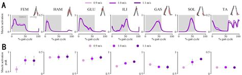 Figure 7 From A Comprehensive Dynamic Simulation Framework For Coupled