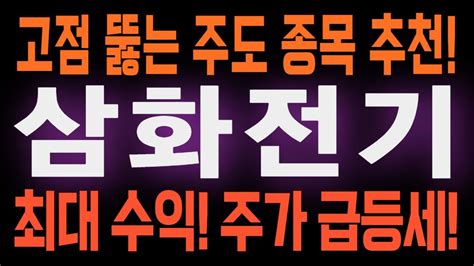 급등예상 추천주 삼화전기 삼화전기주가 삼화전기주가전망 삼화전기목표가 삼화전기주식 삼화전기분석 삼화전기전망