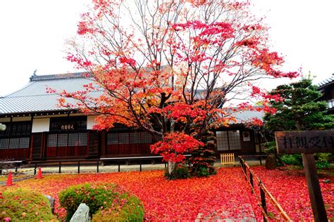 源光庵 By Hiroki （id：4003981） 写真共有サイトphotohito