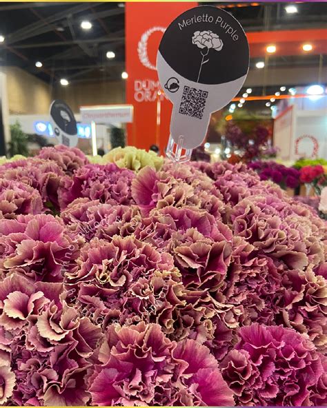 This Was Proflora 2023 Geoflora