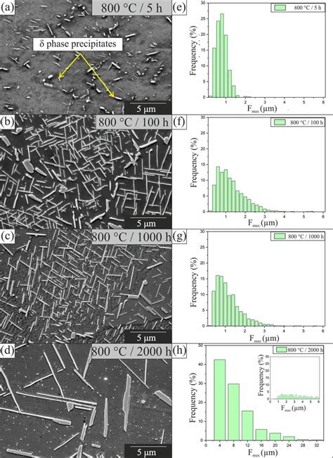 Inconel 625 Lpbf Microstructure Observed After Annealing At 800 °c For