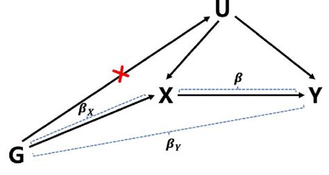 diagram depicting the relationships of instrumental variable iv