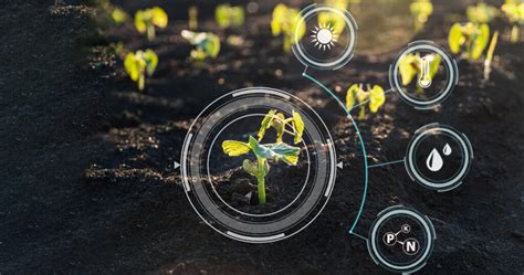 Computer Vision In Agriculture Improving Crop Management And Yield