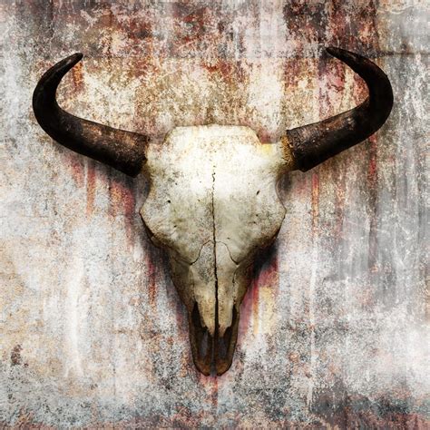 Animal Skull Painting
