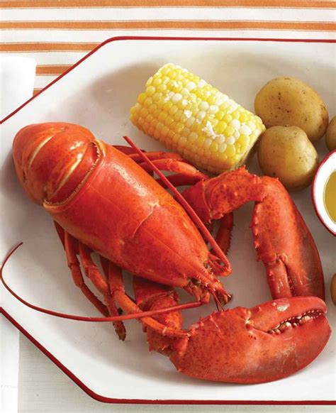 Steamed Lobster Recipe Artofit