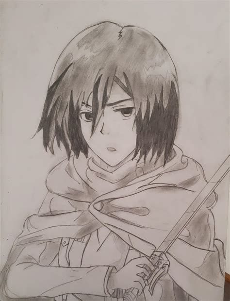 Mikasa Art Scrolller