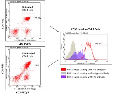 Flow Cytometry Analysis