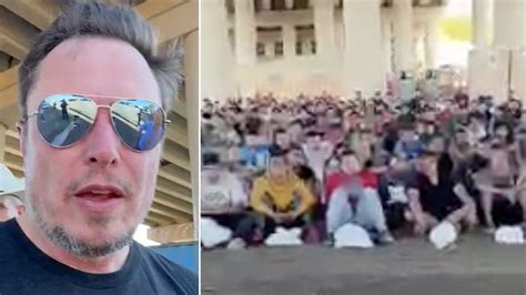 Elon Musk Wades Into Us Migrant Crisis And Reveals ‘whats Really Going