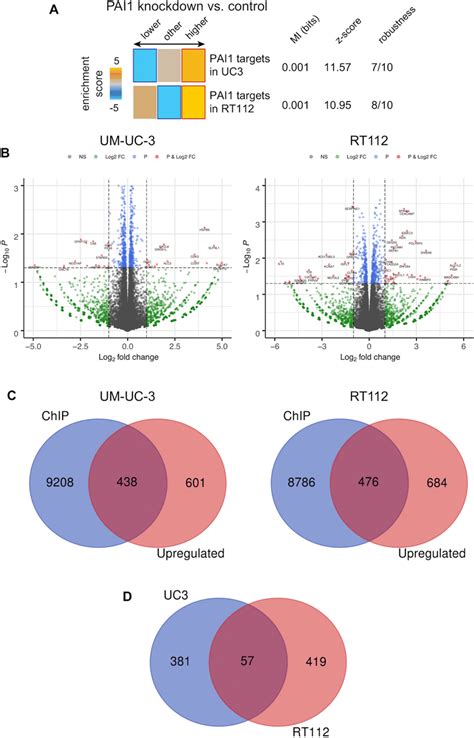 Gene Expression Profiling By Rna Seq And Integration Of Chip Seq And Download Scientific