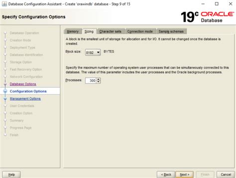 Install Oracle Database C In Windows Easy Instructions