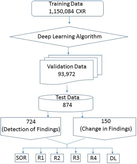 Flow Chart Diagram Illustrating Development Validation And Testing Of