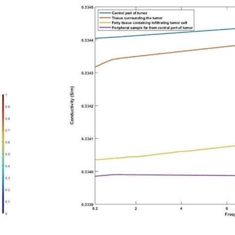 A Simulation Setup And The Reconstruction Results Of Single Tumor