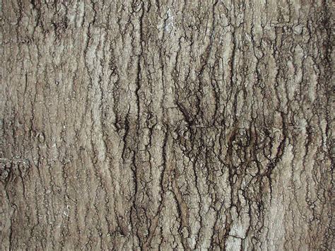 Artificial Sugar Maple Columnar Tree Faux Trees Commercial Silk