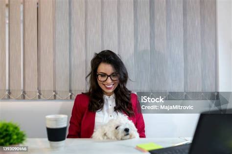 집에서 일하기 위해 노트북을 사용하는 젊은 여성 그녀의 개는 근처에 있습니다 가리키기에 대한 스톡 사진 및 기타 이미지 가리키기 가정 주방 가정의 방 Istock