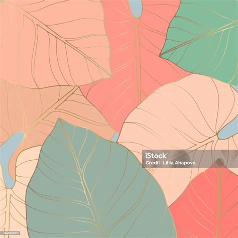 화려한 나뭇잎과 금색 윤곽선이 있는 정사각형 배경 장식 월페이퍼 표지 카드 및 프리젠테이션을 위한 식물 배경 몬스테라속에 대한 스톡 벡터 아트 및 기타 이미지 Istock