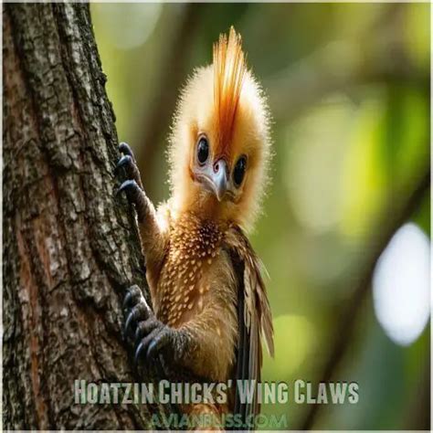 Unusual Bird Facts You Wont Believe