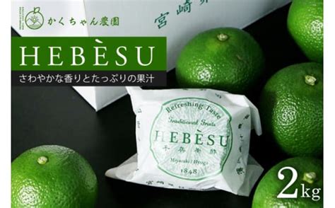 【期間限定発送】 採れたてへべす 2kg [かくちゃん農園 宮崎県 日向市 452060674] 果物 柑橘 へべす 平兵衛酢 ヘベス 期間