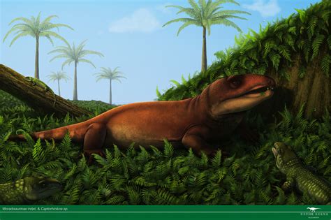 Artstation Captorhinids From The Pedra De Fogo Formation