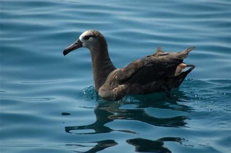 Harboryuan Few Shot Class Incremental Learning · Datasets At Hugging Face