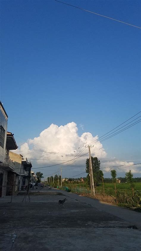 給未來的自己寫一封信 每日頭條