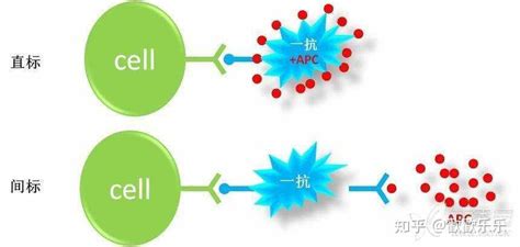 细胞实验：流式与免疫 Flow Cytometry 知乎