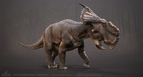 Pachyrhinosaurus