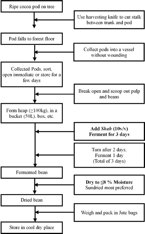 Schematic Representation Of Cocoa Fermentation Download Scientific Diagram