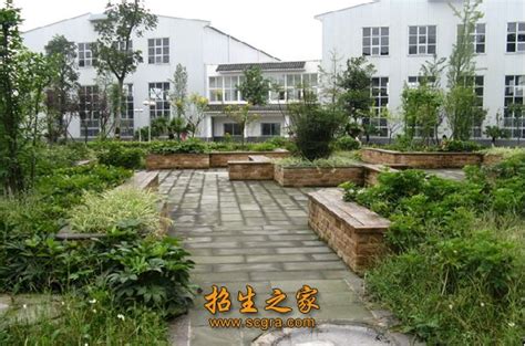四川省孝泉师范学校2020年招生计划和条件