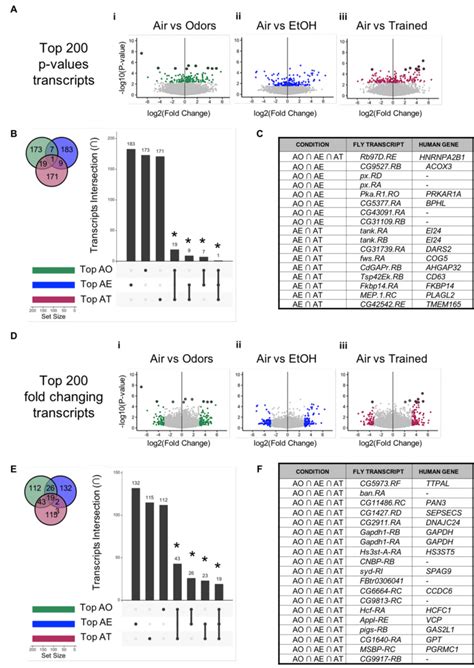 Intersectional Analysis Of Top Differentially Expressed Transcripts Download Scientific Diagram