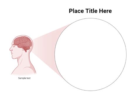 Brain With Circular Callout Layout Biorender Science Templates