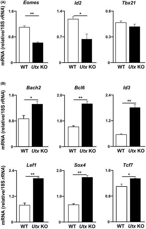 The Expression Of Naïve‐related And Memory‐related Genes Was Increased Download Scientific