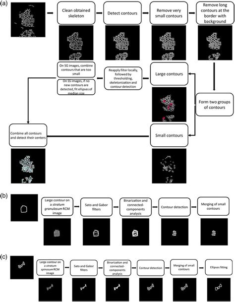 Postprocessing Pipeline A The Skeleton Obtained After The Previous