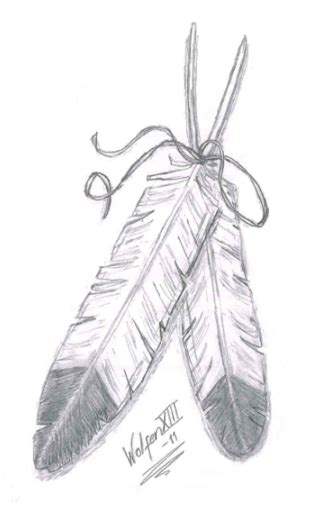 Eagle Feather Drawing At Explore Collection Of