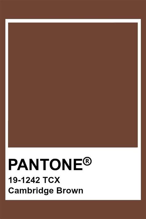 Brown Pantone Color Palette