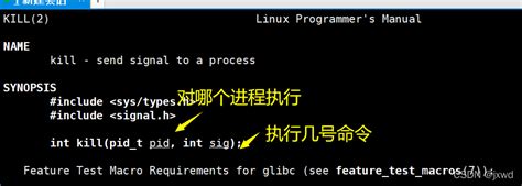 Linux第十节——信号ctrl C 信号 Csdn博客 Linux第十节——信号ctrl C 信号 Csdn博客