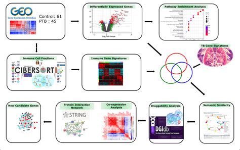 Figure 1 From Transcriptome Based Molecular Networks Uncovered Interplay Between Druggable Genes
