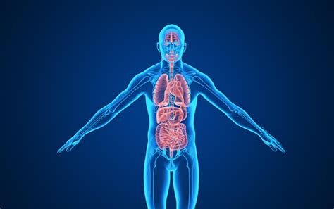 清华大学团队在类器官研究领域取得突破，成果登上《细胞》子刊 产经 前瞻经济学人